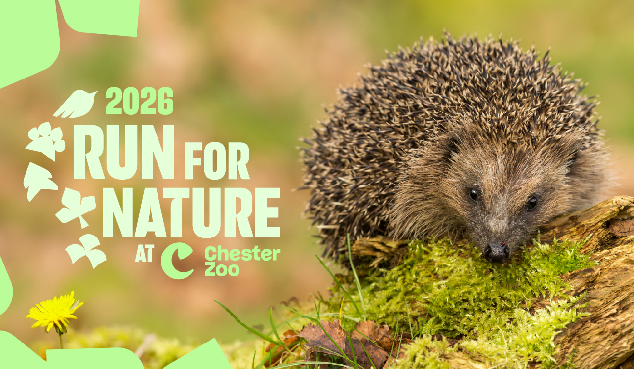 Run for Nature at Chester Zoo March 2026 | Chester Zoo